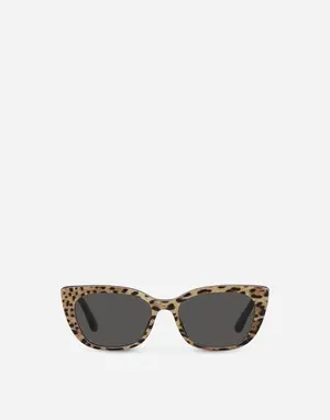 Dolce & Gabbana Sunglasses