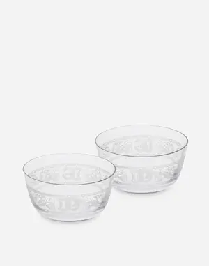 Dolce & Gabbana Set 2 Ice Cream Bowls - Multicolor