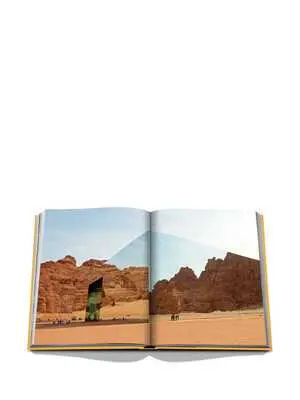 Assouline Alula Ever Book - Orange