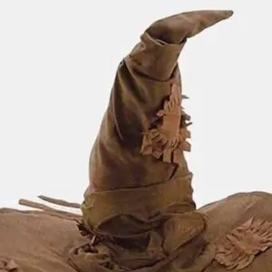 HARRY POTTER Sorting Hat Costume - Black