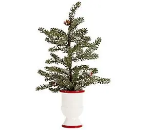 MELROSE Mini Pine Tree With Ceramic Pot - One-color