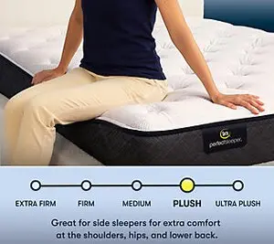 SERTA Perfect Sleeper Adoring Night Plush Mattr Ess King