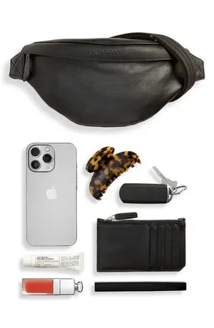 Longchamp 3d Leather Belt Bag