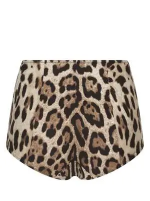 Dolce & Gabbana Leopard-print High-waisted Bikini Bottom