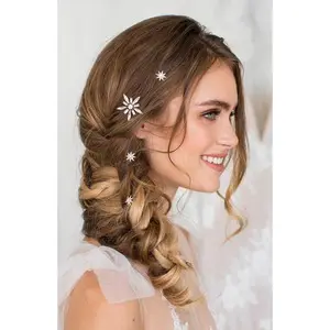 Brides & Hairpins Iro Crystal Hair Pins Set Of 4 - Silver