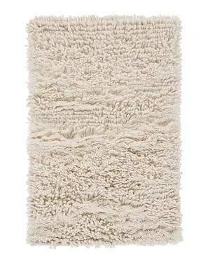 LIVABLISS Berkley Area Rug, 2' X 3 - Ivory