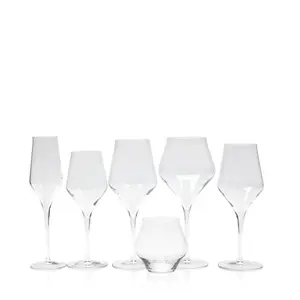 LUIGI BORMIOLI Supremo Stemless Wine Glass, Set Of 2