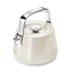 CARAWAY Stainless Steel Tea Kettle - Cream
