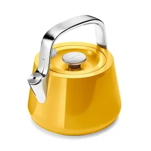 CARAWAY Stainless Steel Tea Kettle - Marigold