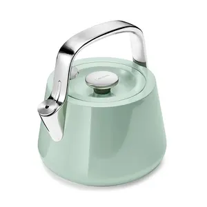 CARAWAY Stainless Steel Tea Kettle - Mist