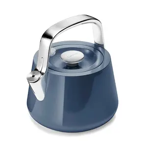 CARAWAY Stainless Steel Tea Kettle - Navy