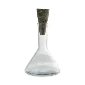 ARTERIORS Oaklee Decanters, Set Of 3