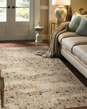 KARASTAN Touchstone Eme Area Rug, 3'6 X 5'6