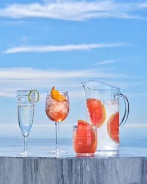 JULISKA Isabella Acrylic Stemless Wine Glass