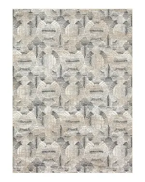 DREW & JONATHAN HOME Vanguard Valiant Area Rug, 5'3 X 7'10 - Silver