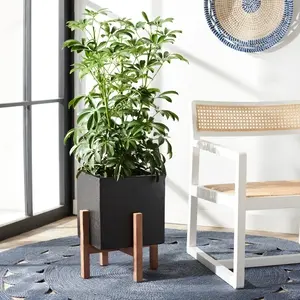 SAFAVIEH Borsla Planter - Black