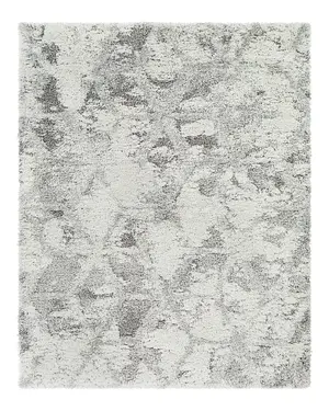 Livabliss Alta Shag Asg-2302 Area Rug, 6'7 X 9 - Silver