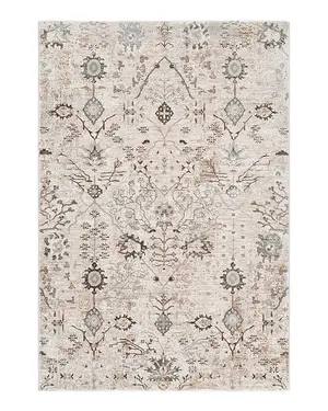 SURYA Livabliss Brunswick Bwk-2311 Area Rug, 7'10 X 10'3 - Khaki