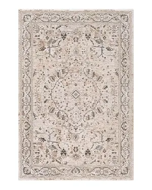 LIVABLISS Brunswick Bwk-2312 Area Rug, 2'7 X 4 - Beige