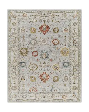 LIVABLISS Reina Ren-2307 Area Rug, 2'7 X 4 - Silver