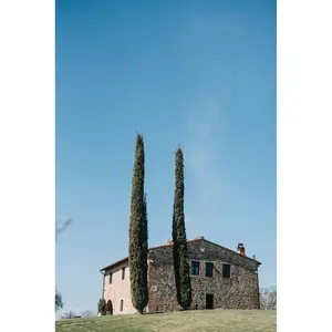 VIETRI Italy On A Plate: Travels, Memories, Menus Cookbook