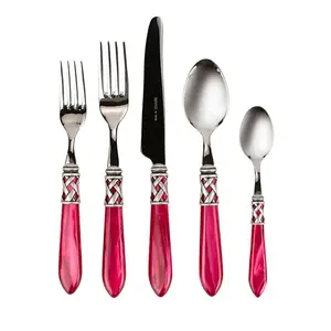 VIETRI Aladdin Brilliant Five-piece Place Setting Set Of 4 Dark Pink