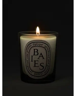 DIPTYQUE Baies Scented Candle 6.5 Oz