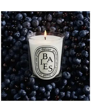 DIPTYQUE Baies Scented Candle 6.5 Oz
