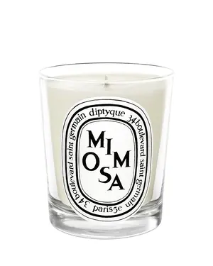 DIPTYQUE Mimosa Scented Candle 6.5 Oz - No Color