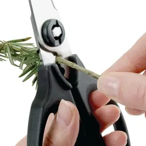 OXO Kitchen & Herb Scissors