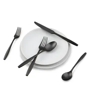 CAMBRIDGE Silversmiths Katerina Satin 20 Piece Flatware Set