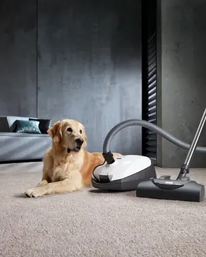 MIELE Classic C1 Cat & Dog Canister Vacuum