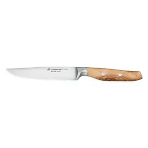 WUSTHOF Amici 4.5 Steak Knife - Silver