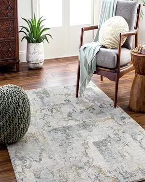 Livabliss Dresden Dre-2301 Area Rug, 2'7 X 4