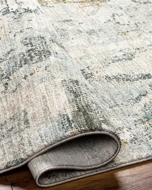 Livabliss Dresden Dre-2301 Runner Area Rug, 2'7 X 7'3