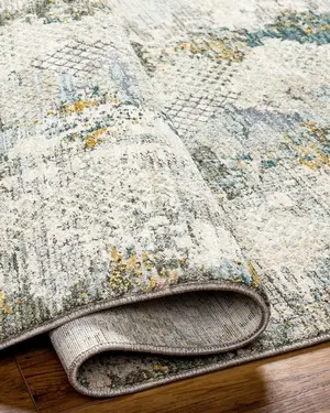 Livabliss Dresden Dre-2303 Area Rug, 2'7 X 4