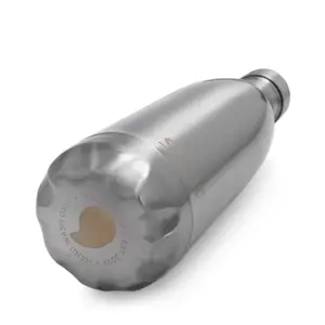S'WELL Lining Bottle, 17 Oz