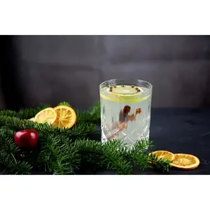 RIEDEL Spey Crystal Whiskey Glasses, Set Of 2
