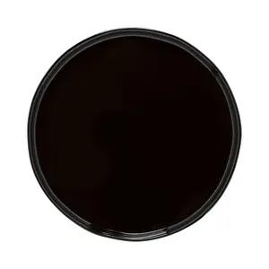 COSTA NOVA Lagoa Eco Gris Dinner Plate - Black