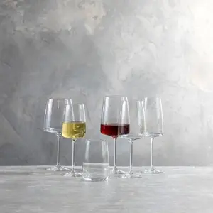 SCHOTT ZWIESEL Sensa Red Wine Glass, Set Of 6