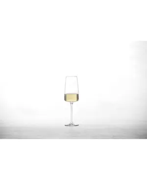 SCHOTT ZWIESEL Sensa Champagne Flute, Set Of 6