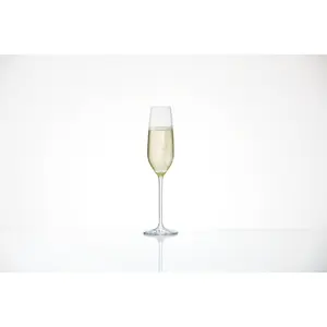 SCHOTT ZWIESEL Forte Champagne Flute, Set Of 6
