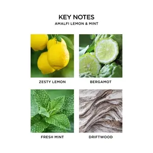 NEST NEW YORK Wall Diffuser Refill, Amalfi Lemon & Mint