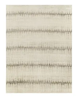 EXQUISITE RUGS Chroma Er4523 Area Rug, 6' X 9 - Silver