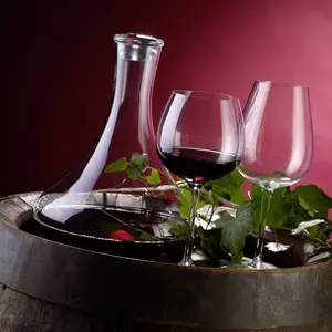 VILLEROY & BOCH Purismo Red Wine Decanter