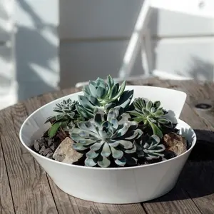 VILLEROY & BOCH New Wave Round Salad Bowl, Large