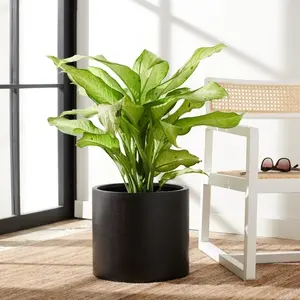 SAFAVIEH Braslen Planter