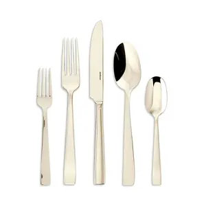 SAMBONET Stainless Steel 5 Piece Place Setting - Champagne
