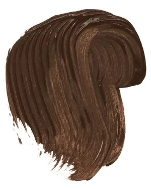 ANASTASIA BEVERLY HILLS Tinted Brow Gel - Chocolate