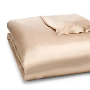 Gingerlily Silk Solid Duvet Cover, Queen - Nude